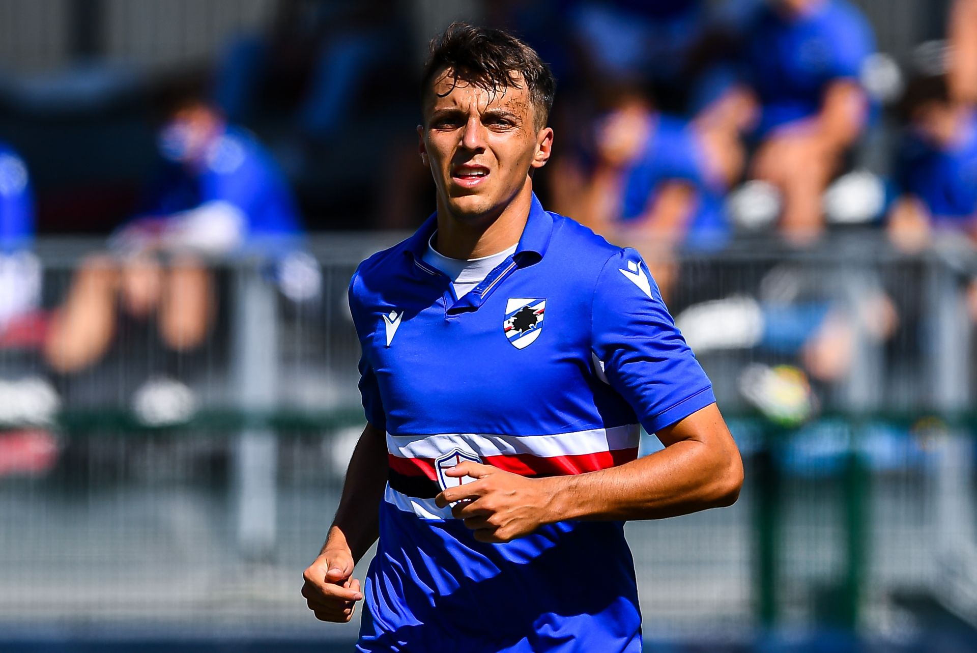 Rinnovo e cessione temporanea, Giordano va all'Ascoli - U.C. Sampdoria