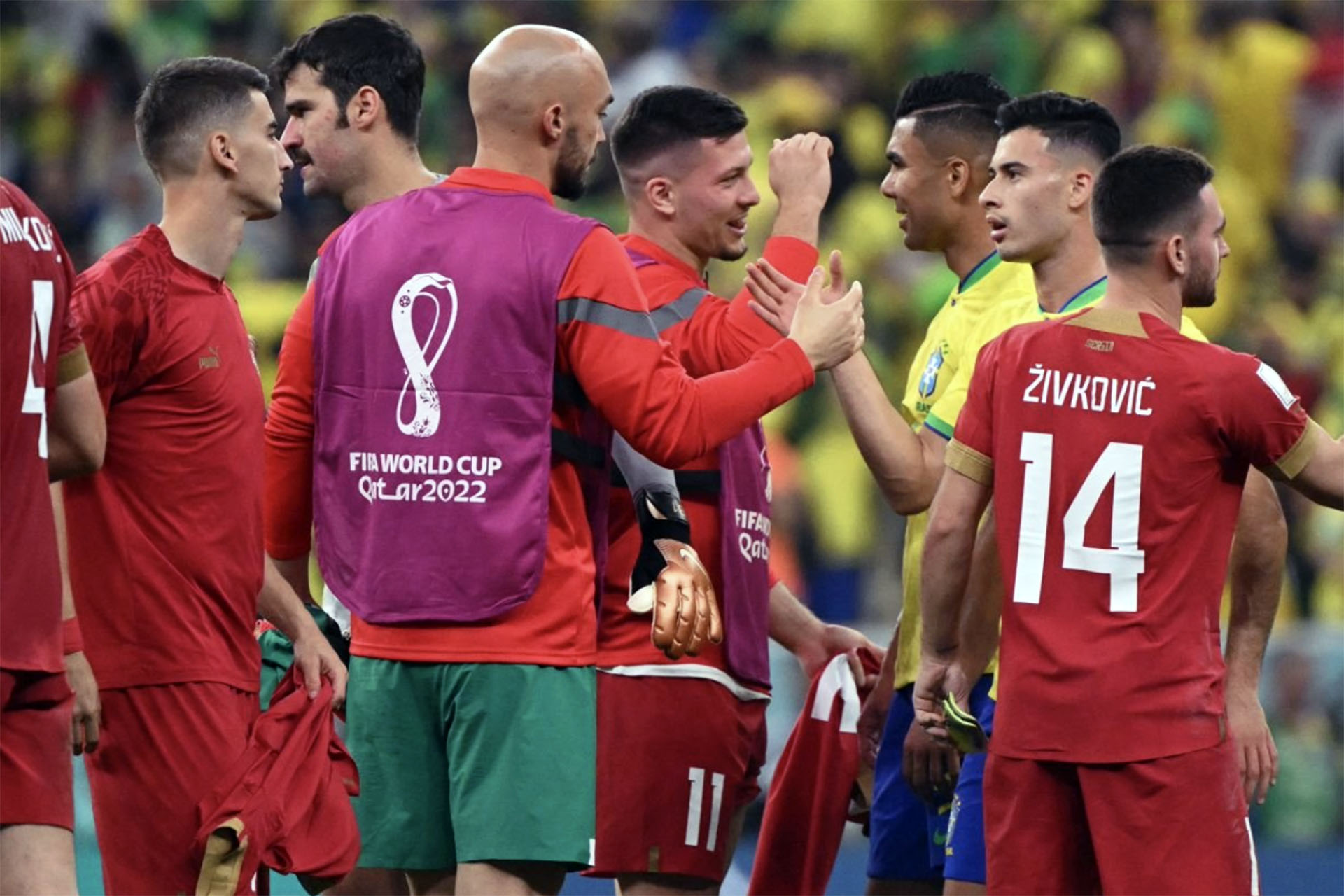 World Cup watch: Djuricic on bench as Serbia lose - U.C. Sampdoria