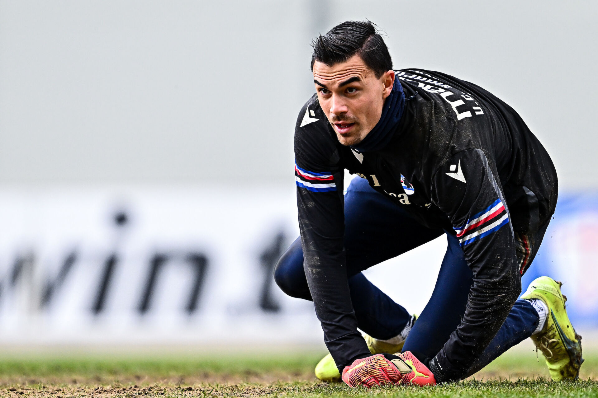 Audero shoulder injury confirmed - U.C. Sampdoria