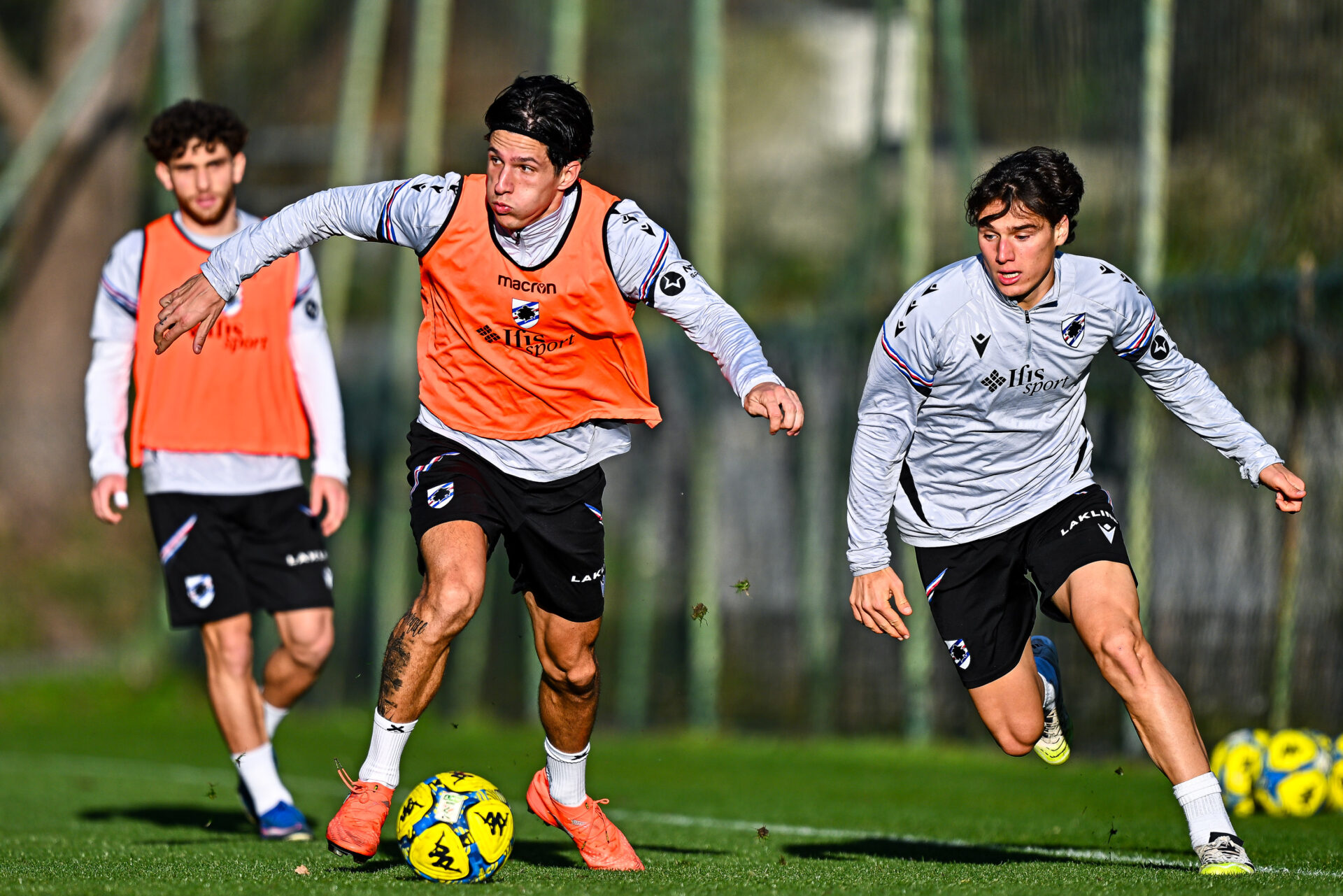 Forza e trasformazione per la Samp, prima per Di Pardo - U.C. Sampdoria